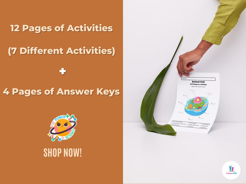 Animal Cell Worksheets Fun and Engaging Science Activities Homeschool ...