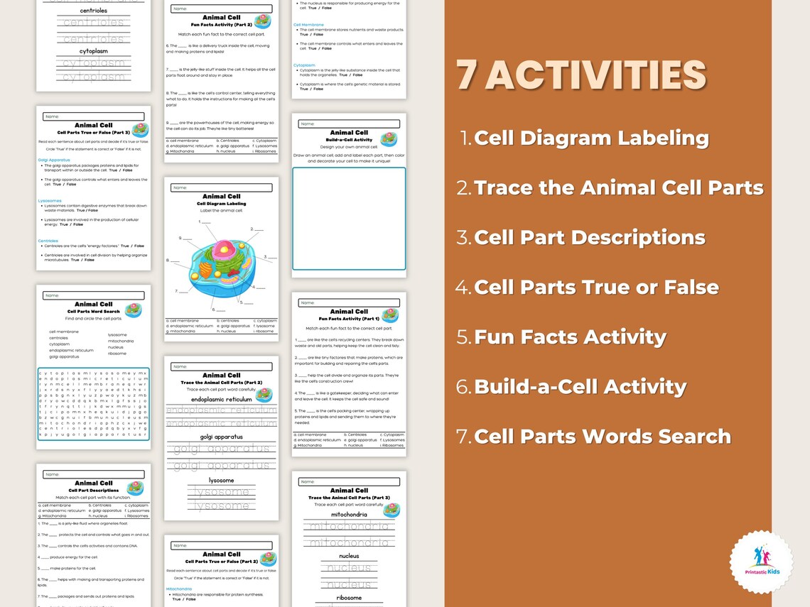 Animal Cell Worksheets Fun and Engaging Science Activities Homeschool ...