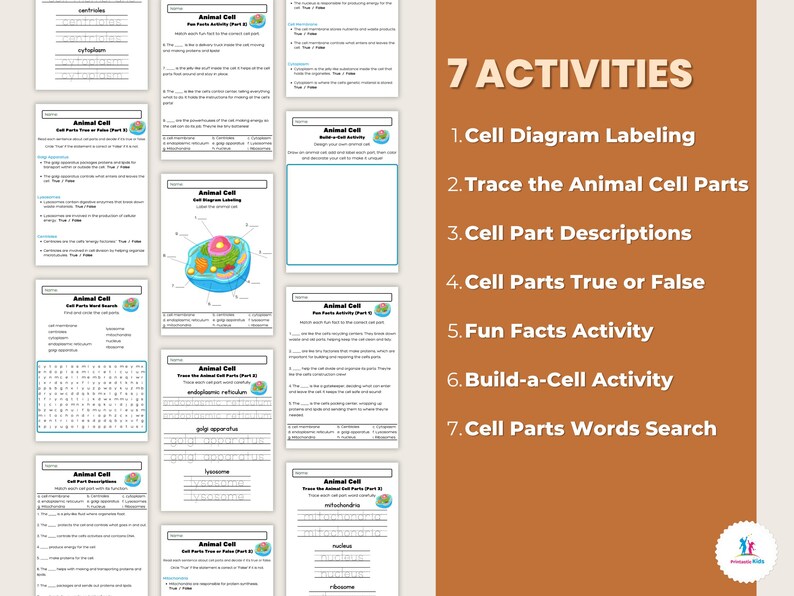 Animal Cell Worksheets Fun and Engaging Science Activities Homeschool ...