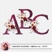 Burgundy Floral Alphabet Clipart: Watercolor Letters, Numbers (PNG ...