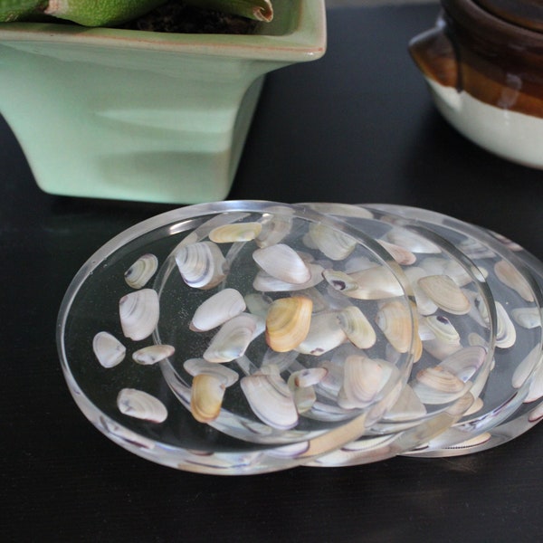 Seashell Coasters - Etsy