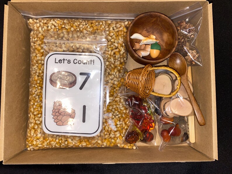 Fall Sensory Bin - Etsy