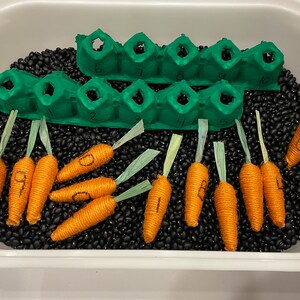 Easter Carrot Sensory Bin - Etsy