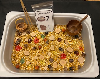 Fall I Spy Sensory Bin Autumn Sensory Bin - Etsy