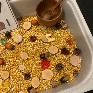 Fall Sensory Bin - Etsy
