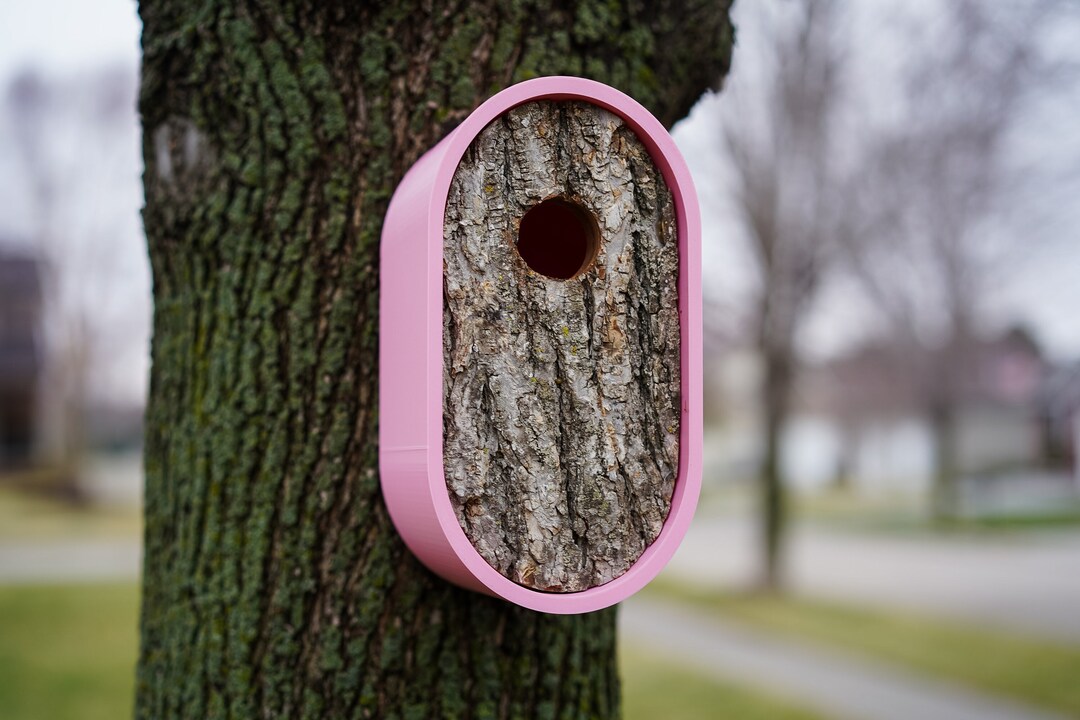 Poppin Pink Tweet Suite Birdhouse - A Modern Contemporary Birdhouse ...