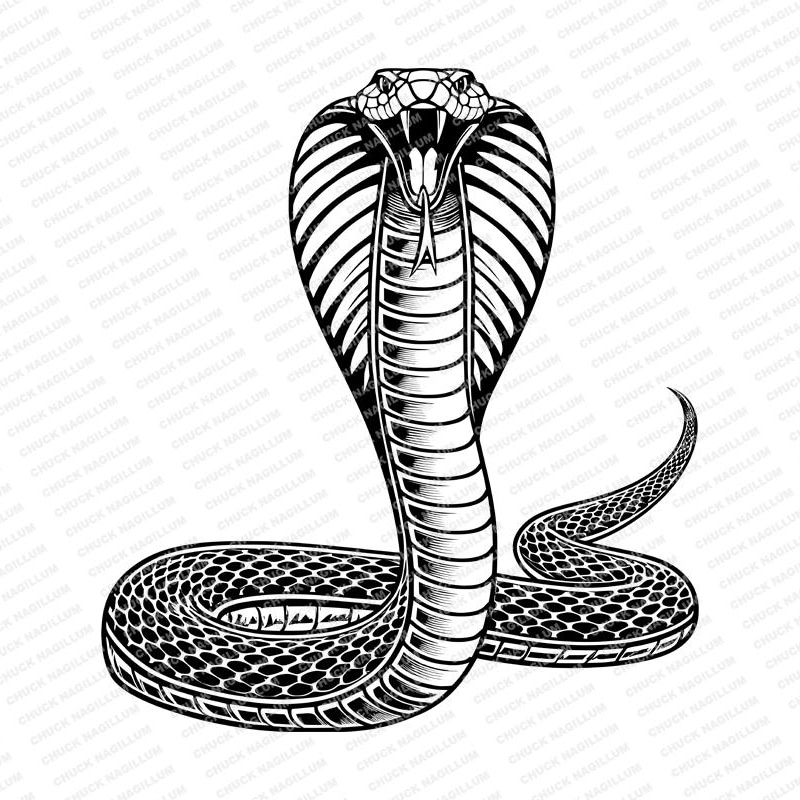 Cobras Svg - Etsy