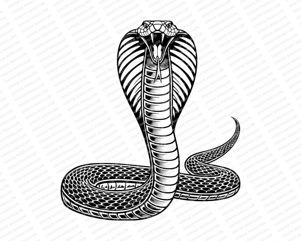 Cobra SVG PNG JPG Cobra Snake Instant Download Cobra Svg T-shirt Design ...