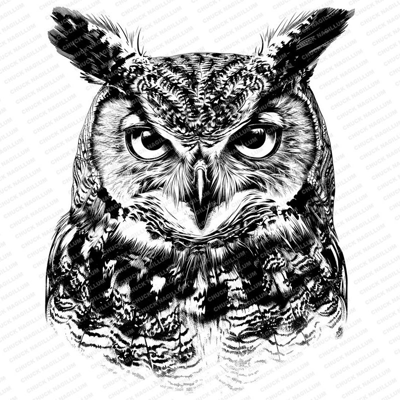 Owl Portrait Laser Files - Etsy