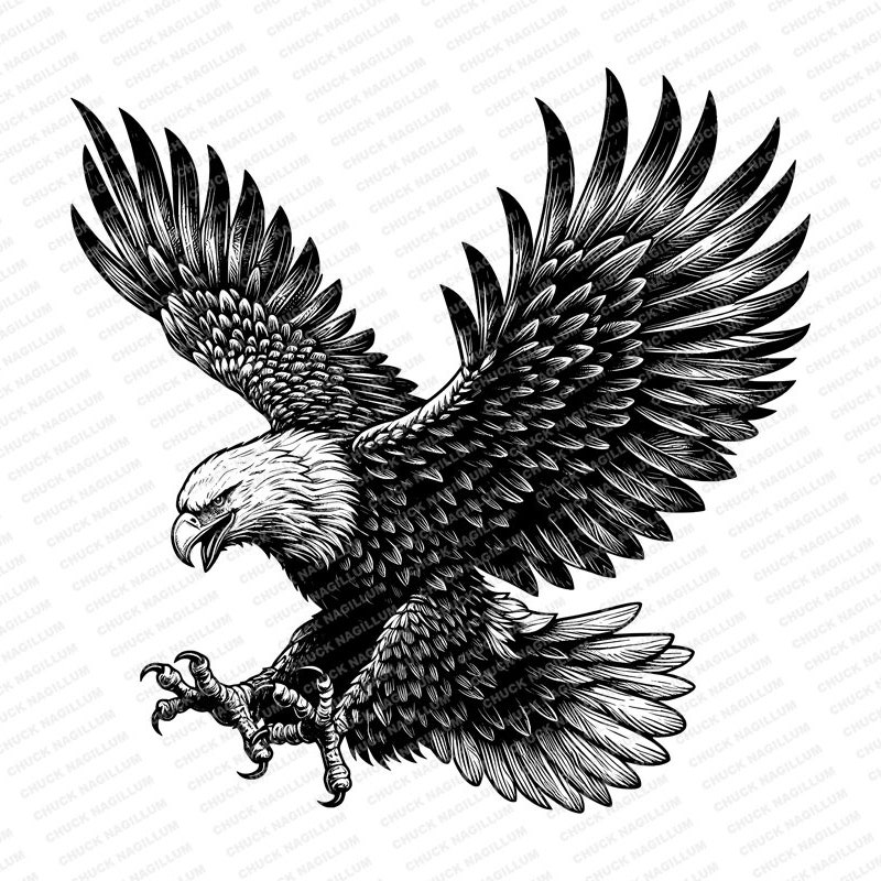 Bald Eagle Logo Design - Etsy UK