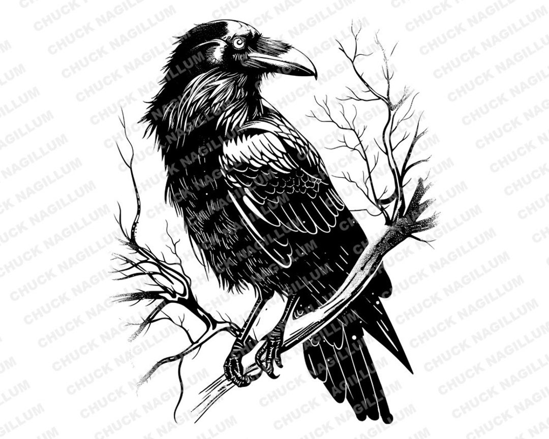 Raven | SVG PNG JPG | Raven Download | Raven Design | Raven Art ...