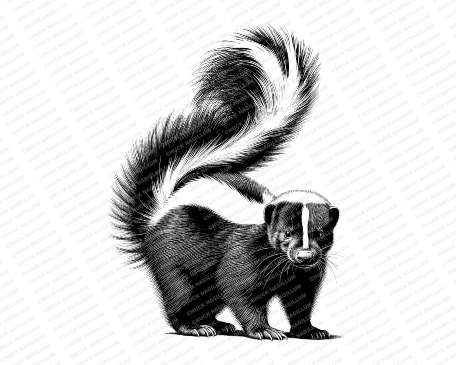 Skunk SVG PNG JPG Stinky Skunk Instant Download Funny Skunk T-shirt ...