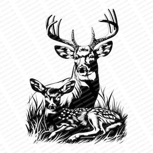 Deer | SVG JPG PNG | White-tailed Bucks | Deer Download | Young Buck ...