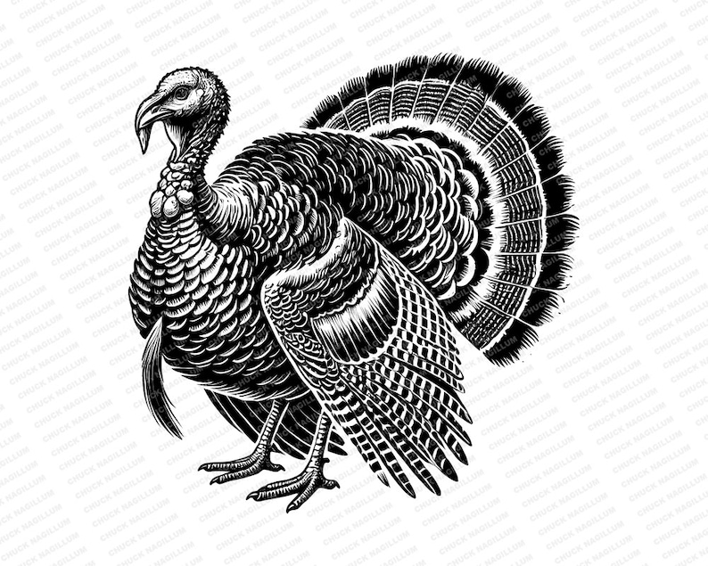 Wild Turkey | SVG JPG PNG | Turkey Download | Thanksgiving Turkey ...