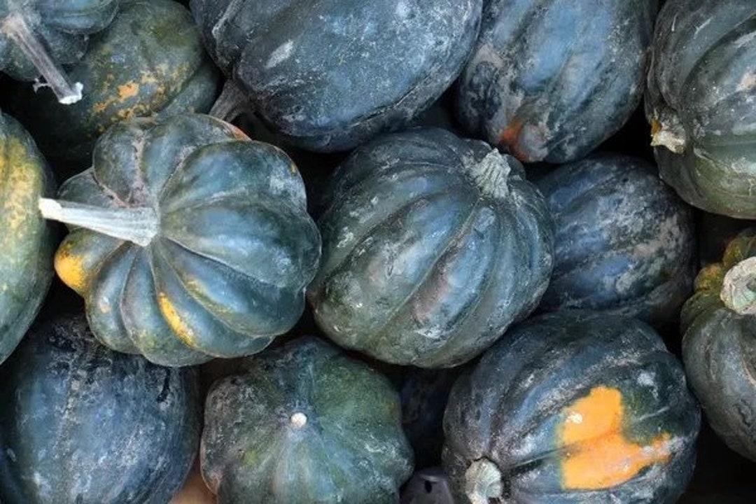 Table Queen Squash Seeds - Etsy