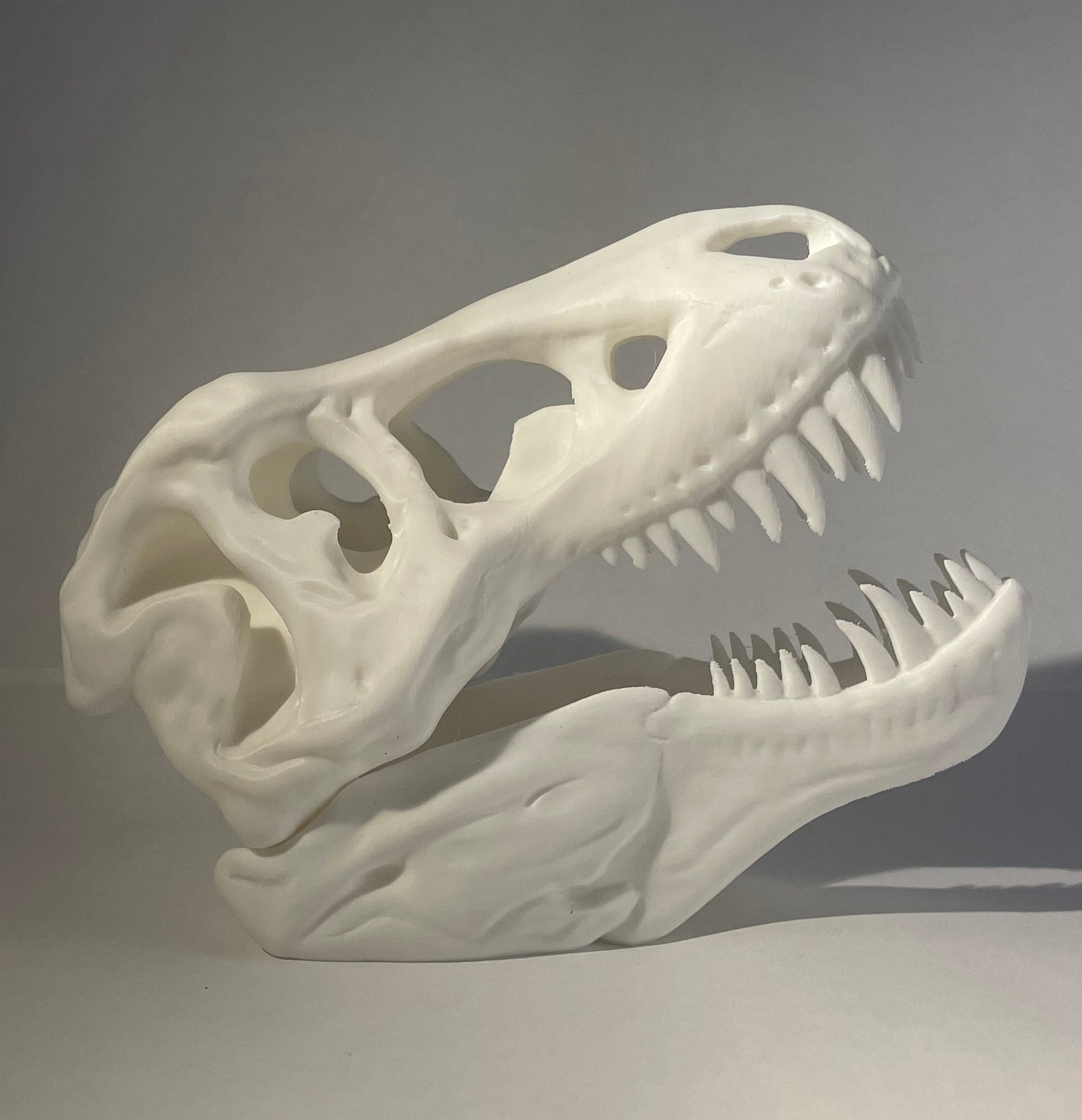 T-rex Skull Sculpture | Handmade Tyrannosaurus Rex Dinosaur Model - Etsy