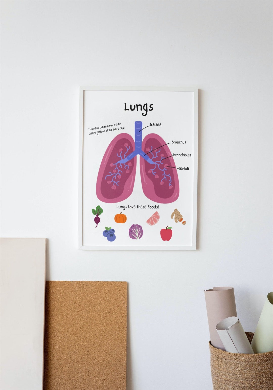 Educational Lungs Poster Digital Download - Etsy