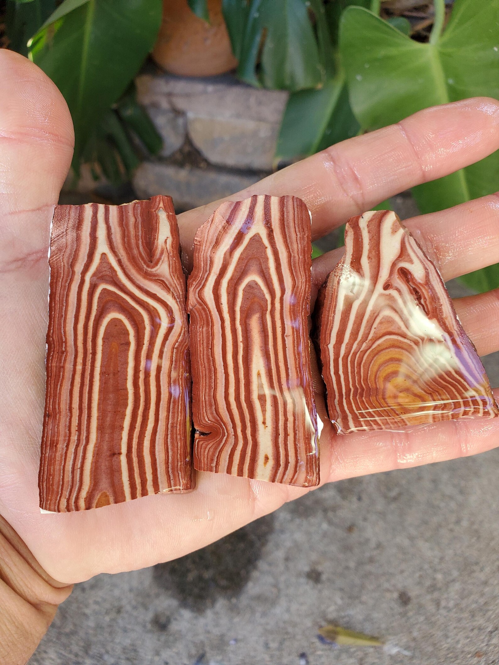 Wonderstone/rhyolite Rough Slabs - Etsy