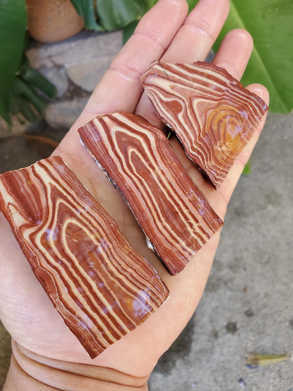 Wonderstone/rhyolite Rough Slabs - Etsy