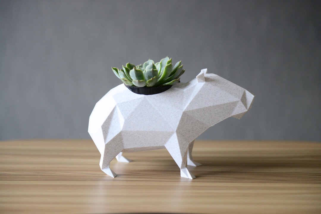 Low Poly Capybara Pot for Succulent / Capybara Cactus Plants - Etsy