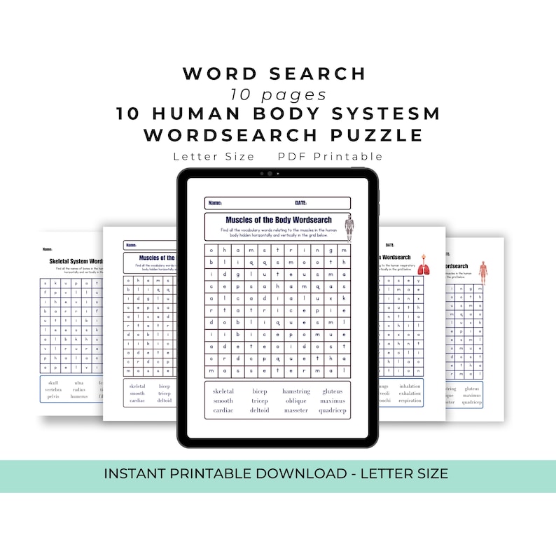 Human Body Systems Anatomy Word Search Puzzles, Activity Worksheet ...