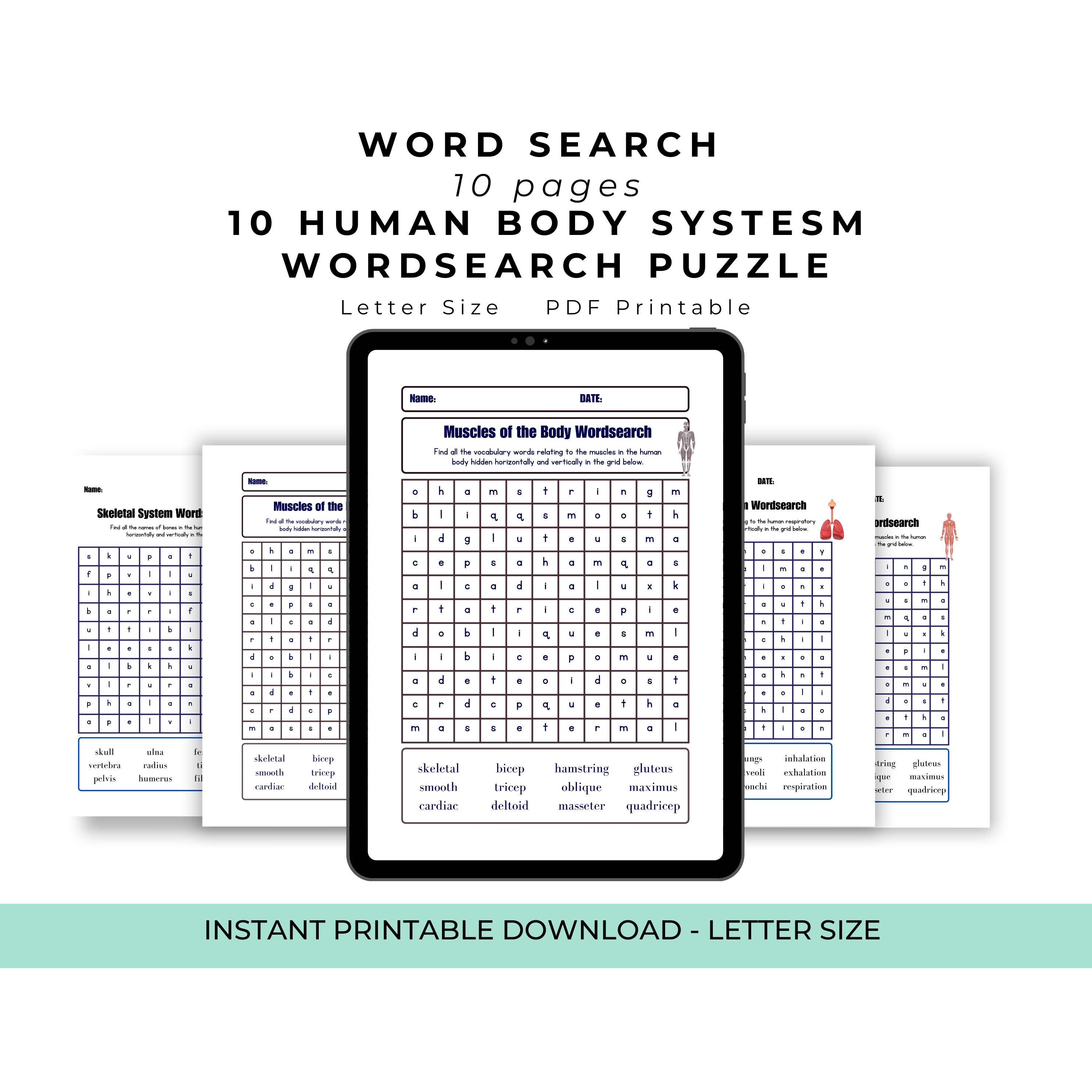Human Body Systems Anatomy Word Search Puzzles, Activity Worksheet ...