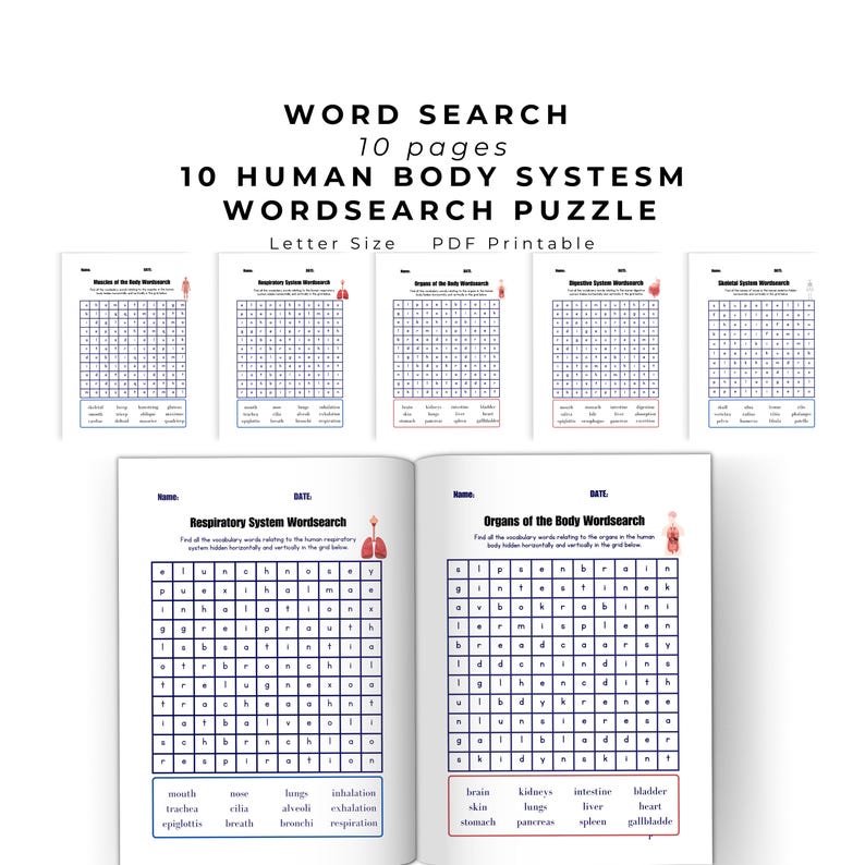 Human Body Systems Anatomy Word Search Puzzles, Activity Worksheet ...
