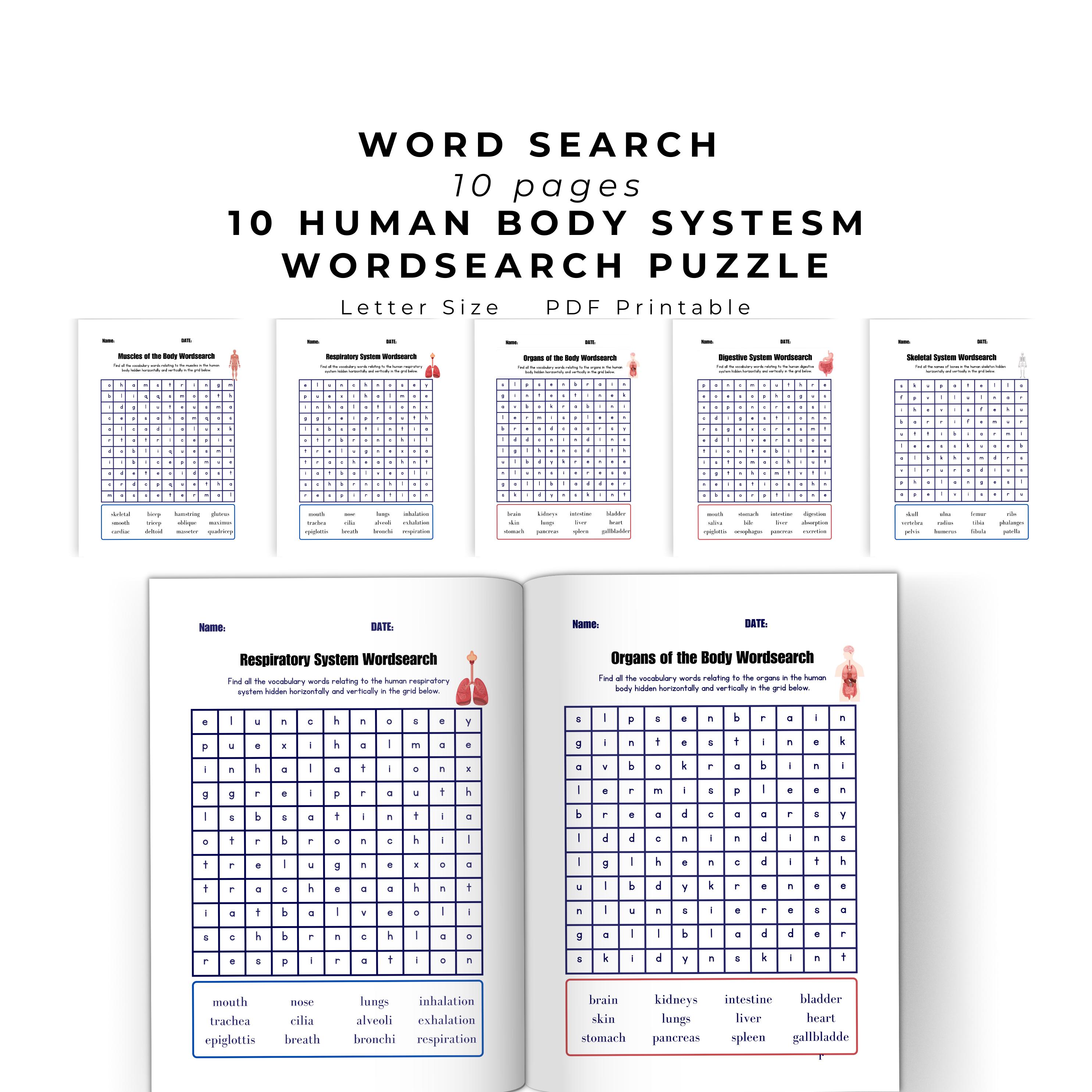 Human Body Systems Anatomy Word Search Puzzles, Activity Worksheet ...