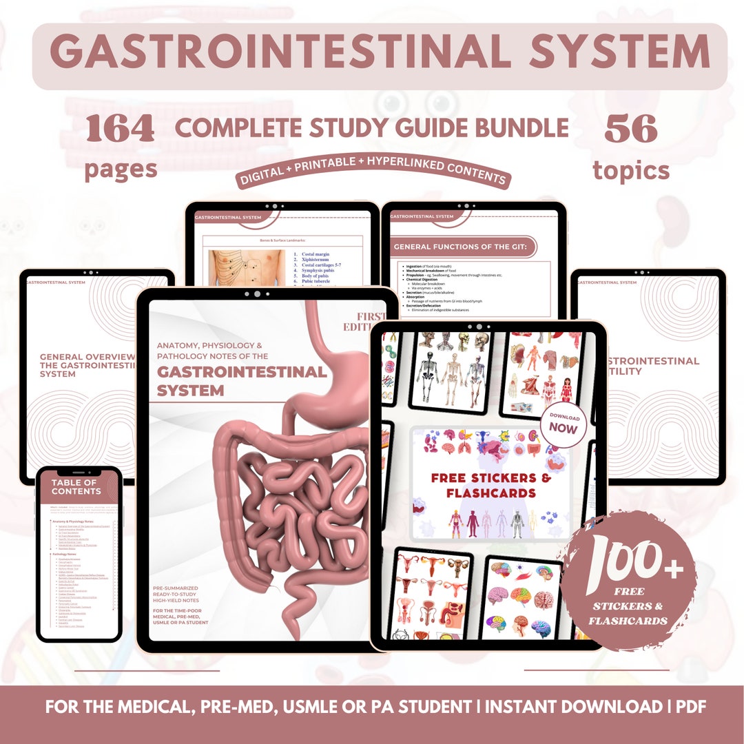 Gastrointestinal Bundle With Flashcard and Stickers, Gastro Digestive ...