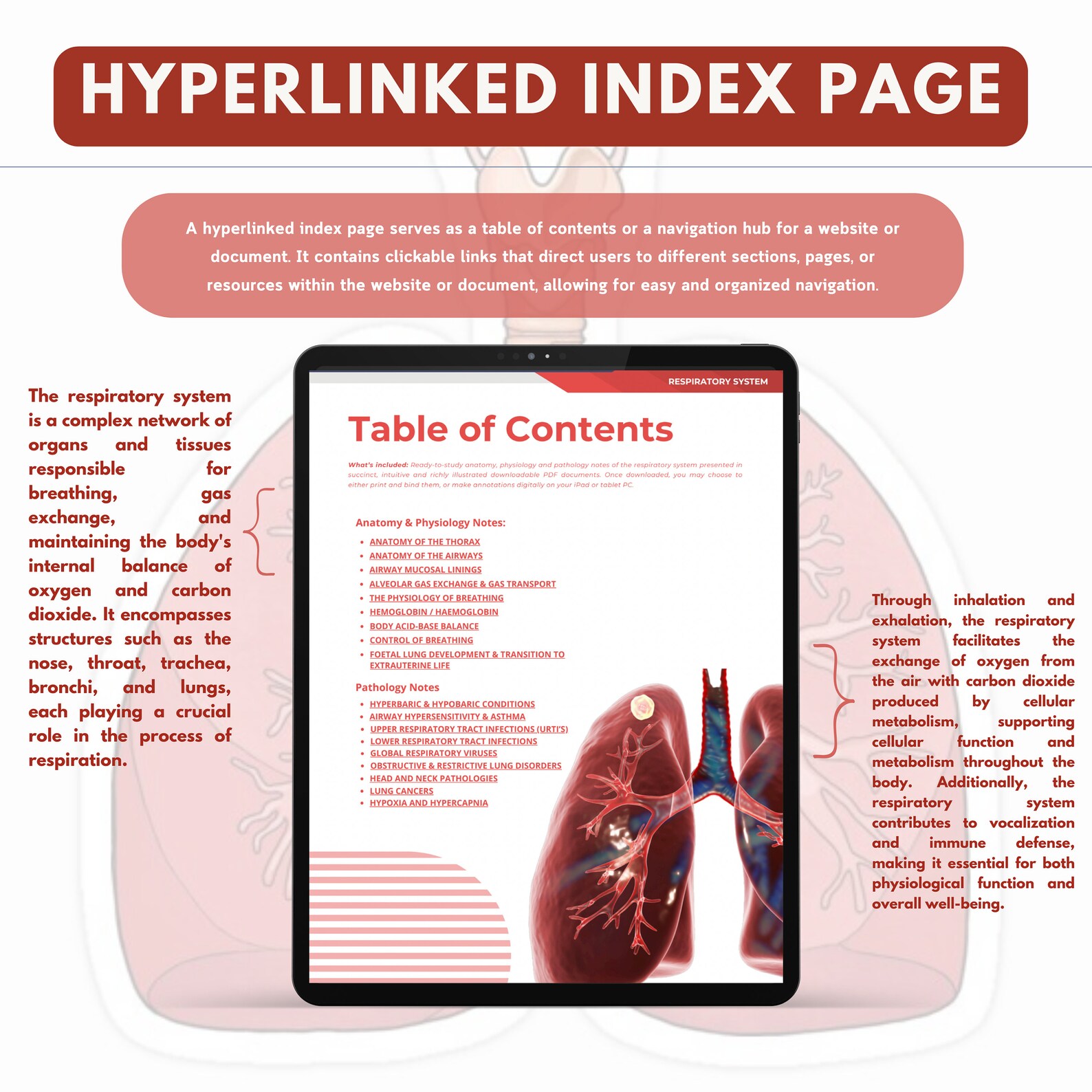 Respiratory System Bundle With Flashcard and Stickers Nursing Guide ...