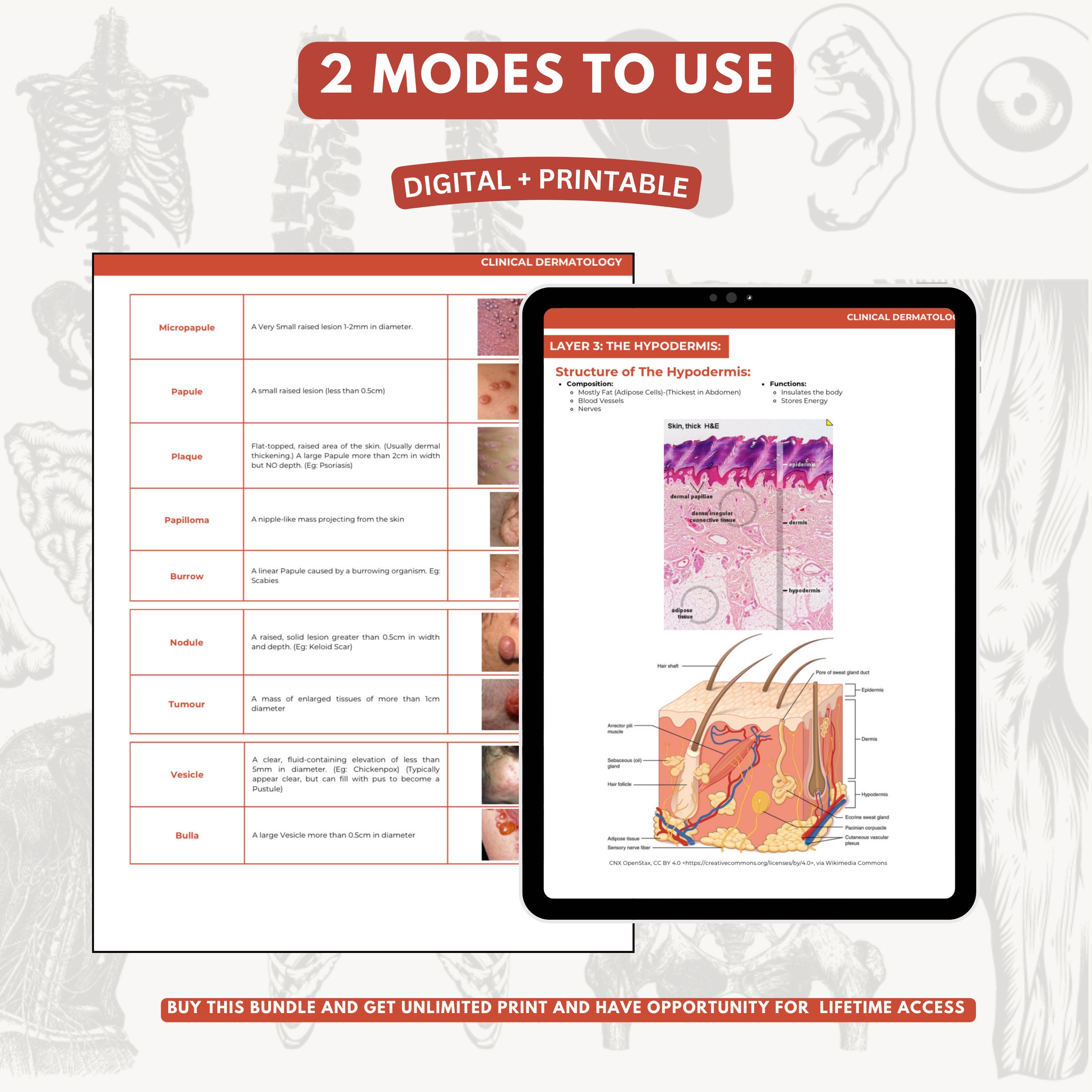Clinical Dermatology Bundle With Planner and Stickers, Dermatology ...