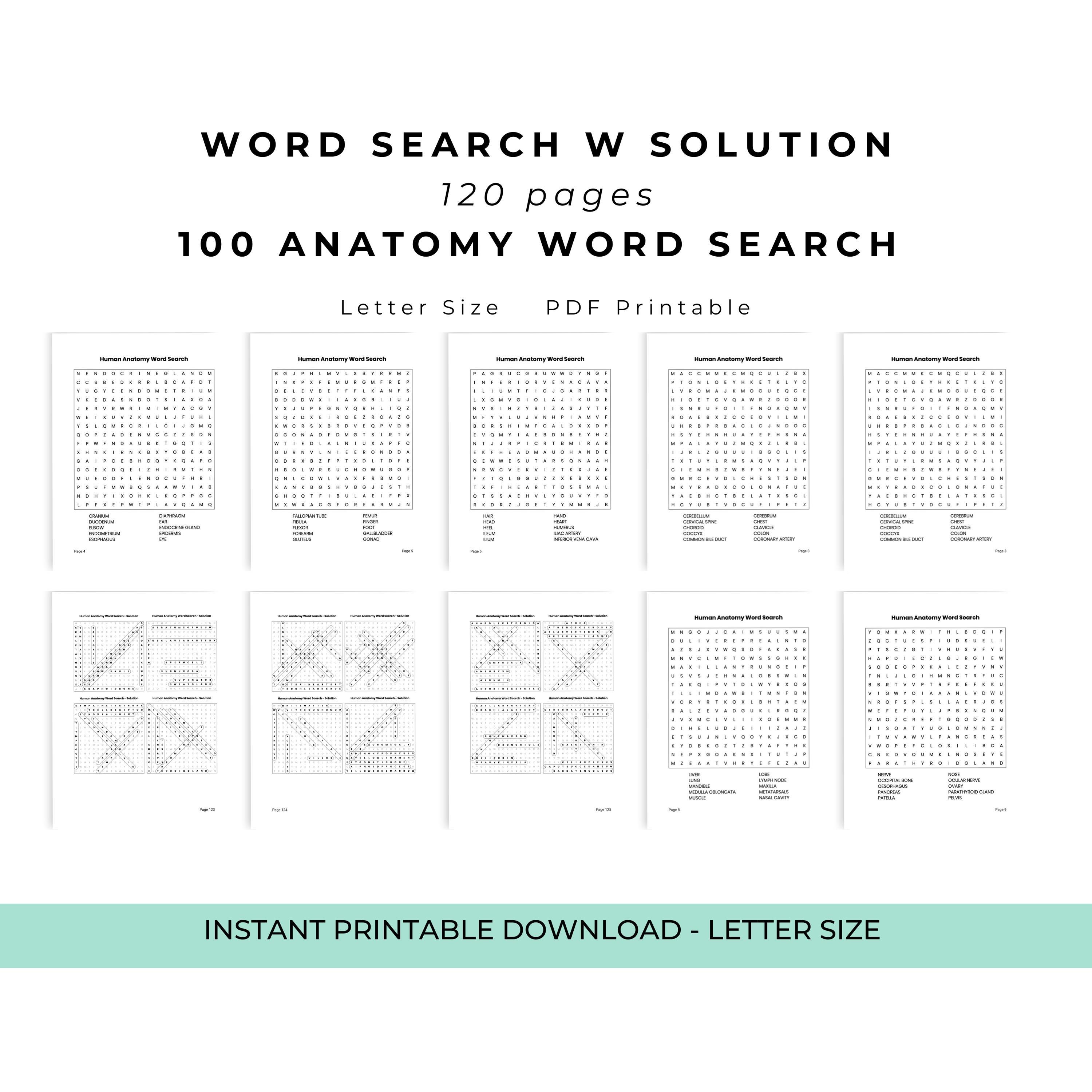 100 Anatomy Word Search Puzzles With Solution, Activity Worksheet Organ ...