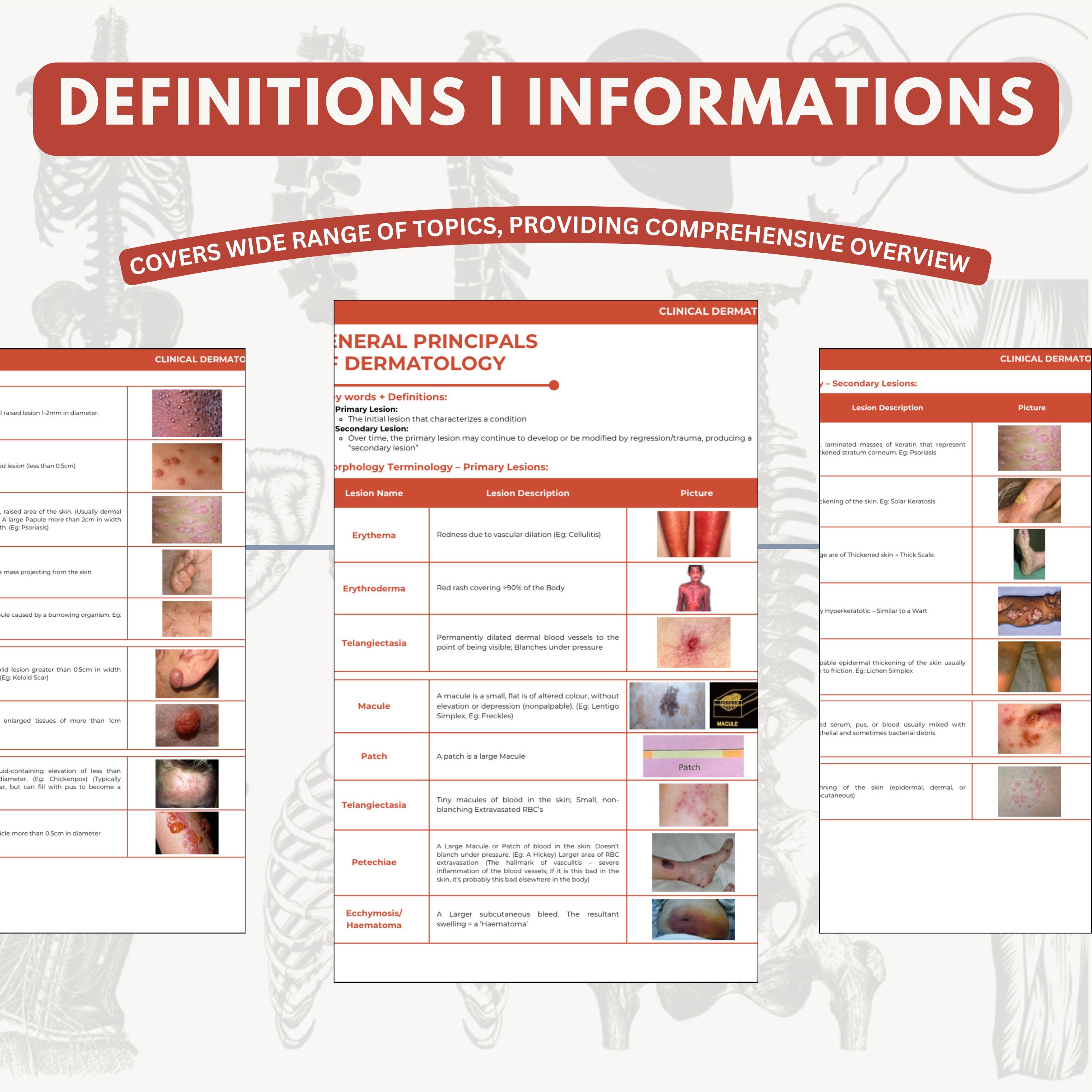 Clinical Dermatology Bundle With Planner and Stickers, Dermatology ...