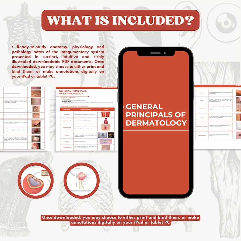 Clinical Dermatology Bundle With Planner and Stickers, Dermatology ...