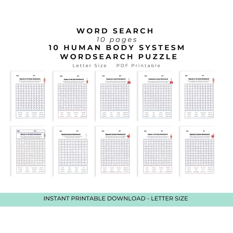 Human Body Systems Anatomy Word Search Puzzles, Activity Worksheet ...
