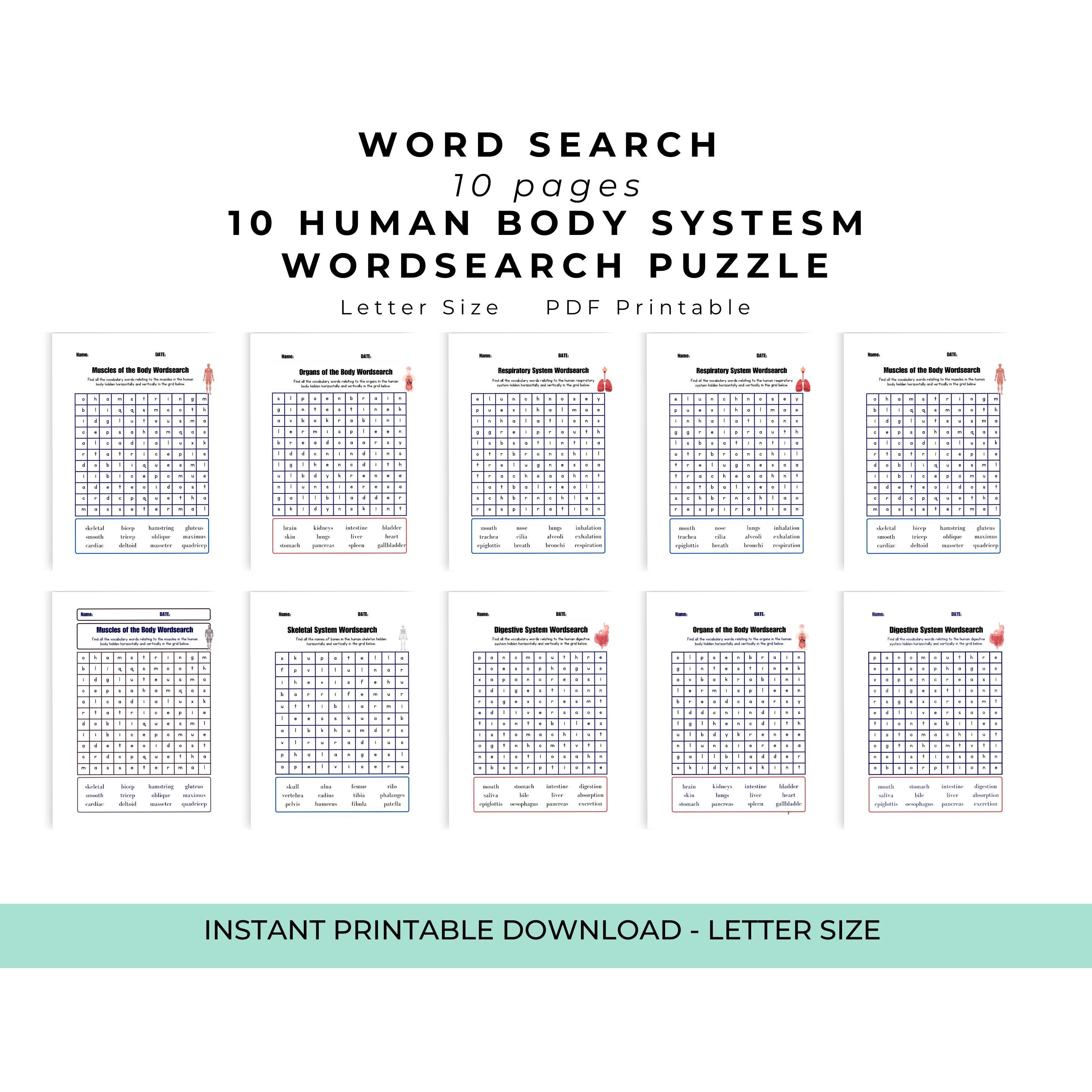 Human Body Systems Anatomy Word Search Puzzles, Activity Worksheet ...