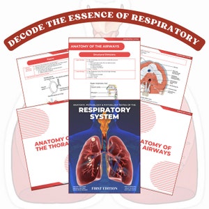 Respiratory System Bundle With Flashcard and Stickers Nursing Guide ...