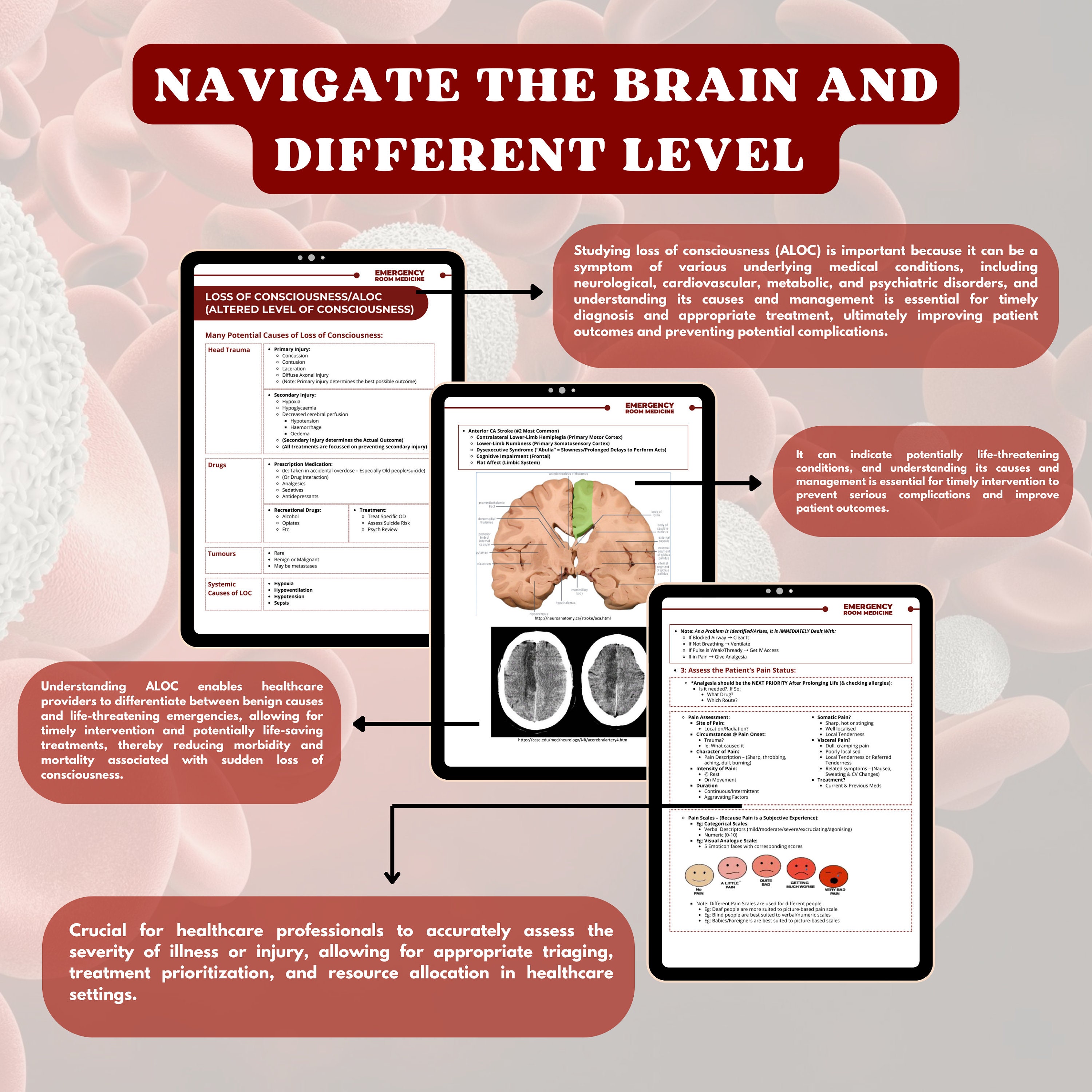 Emergency Room Medicine Bundle With Flashcards and Stickers, Emergency ...