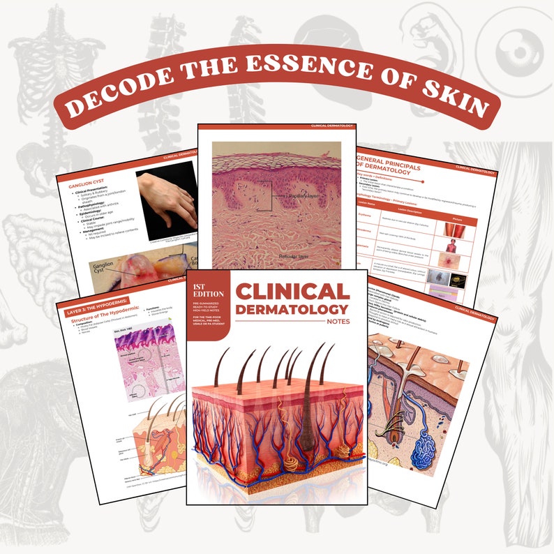 Clinical Dermatology Bundle With Planner and Stickers, Dermatology ...