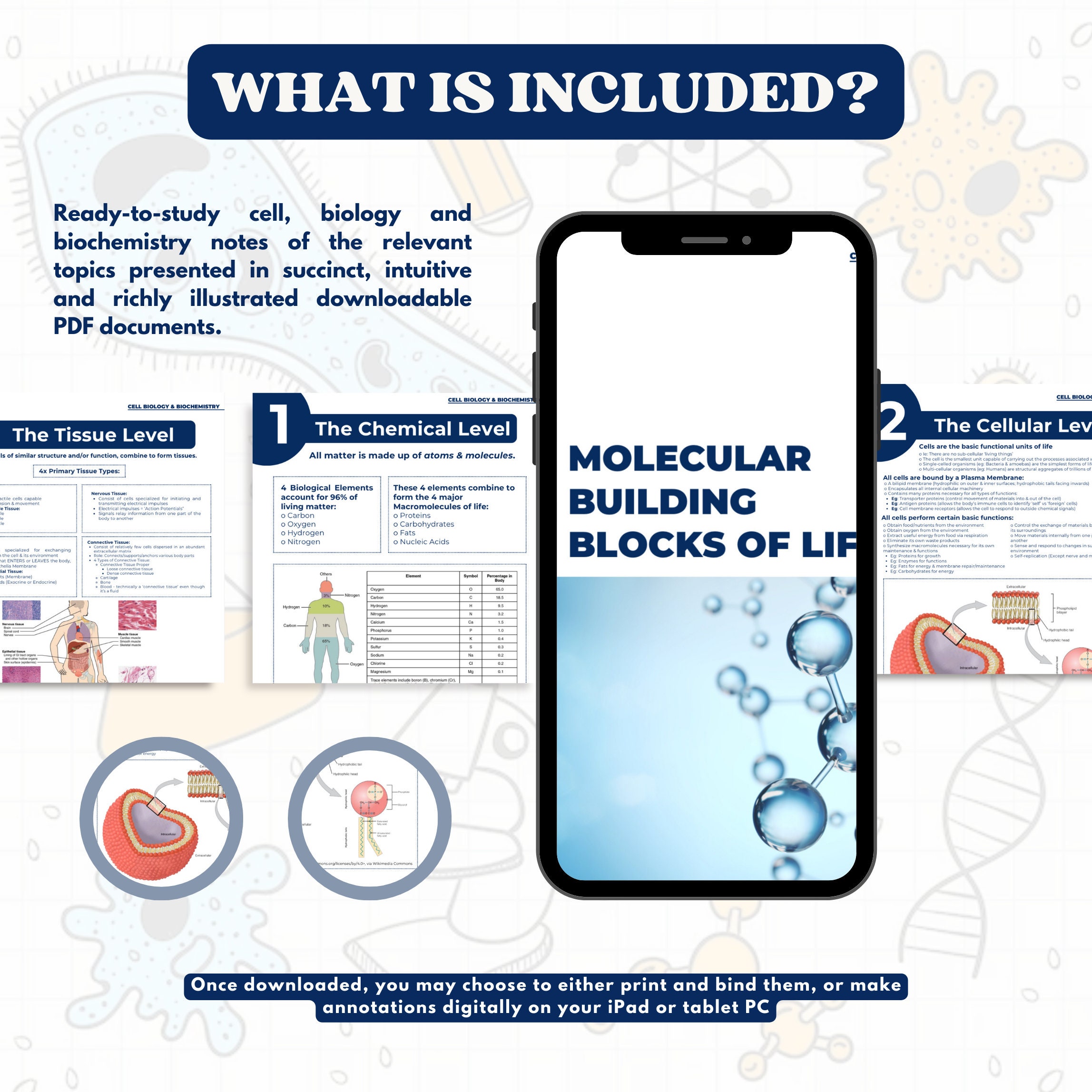 Cell Biology & Biochemistry Bundle, Digital Download PDF File Study ...