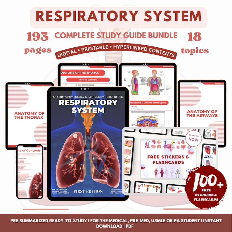 Respiratory System Bundle With Flashcard and Stickers Nursing Guide ...