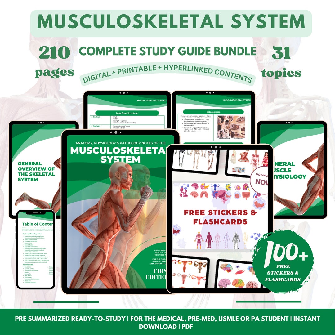 Musculoskeletal System Bundle With Planner and Stickers Nursing Guide ...