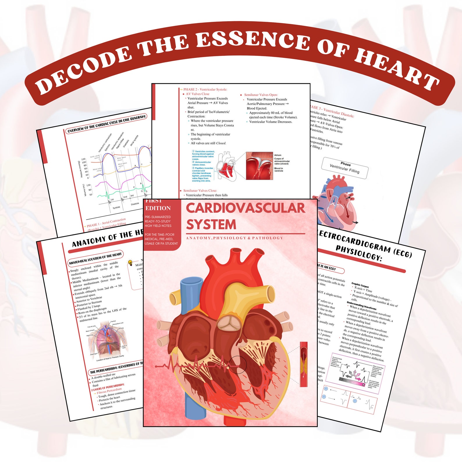 Circulatory Cardiovascular System Free Flashcard and Stickers ...