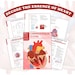 Circulatory Cardiovascular System Free Flashcard and Stickers ...