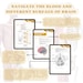 Nervous System and Special Sense Bundle With Flashcard and Stickers ...