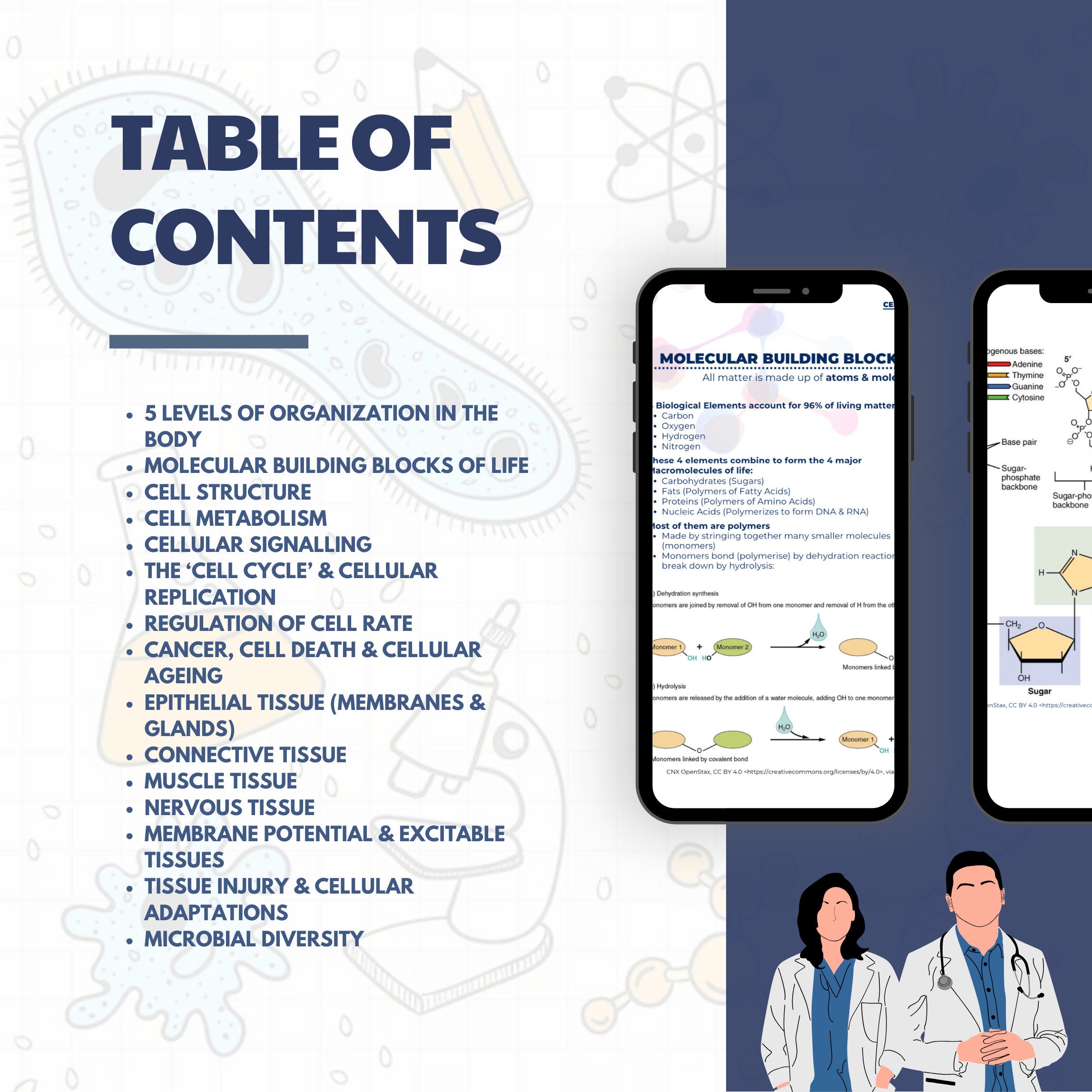 Cell Biology & Biochemistry Bundle, Digital Download PDF File Study ...