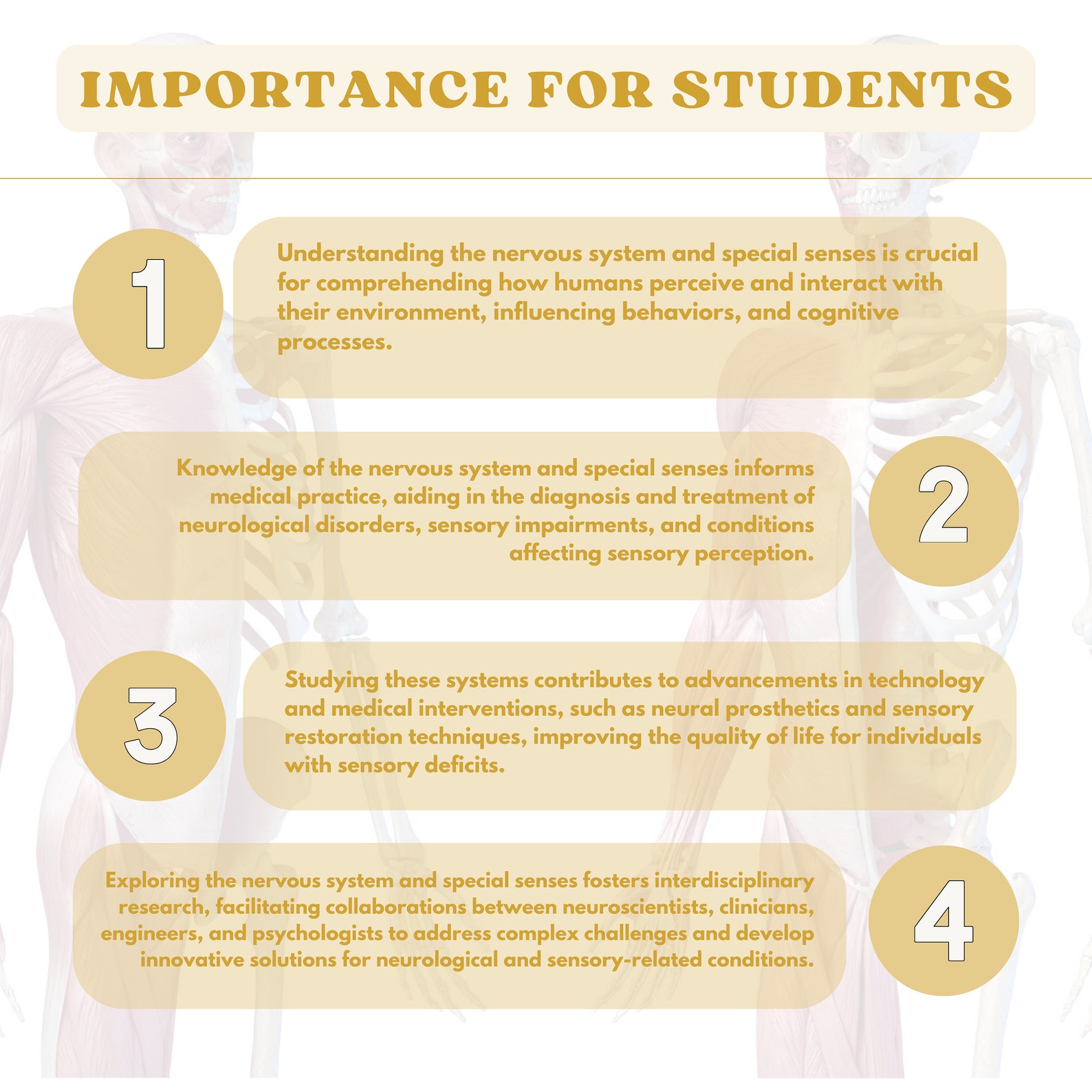 Nervous System and Special Sense Bundle With Flashcard and Stickers ...