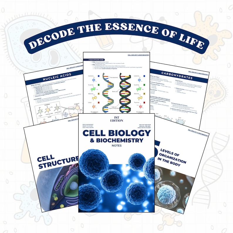 Cell Biology & Biochemistry Bundle, Digital Download PDF File Study ...