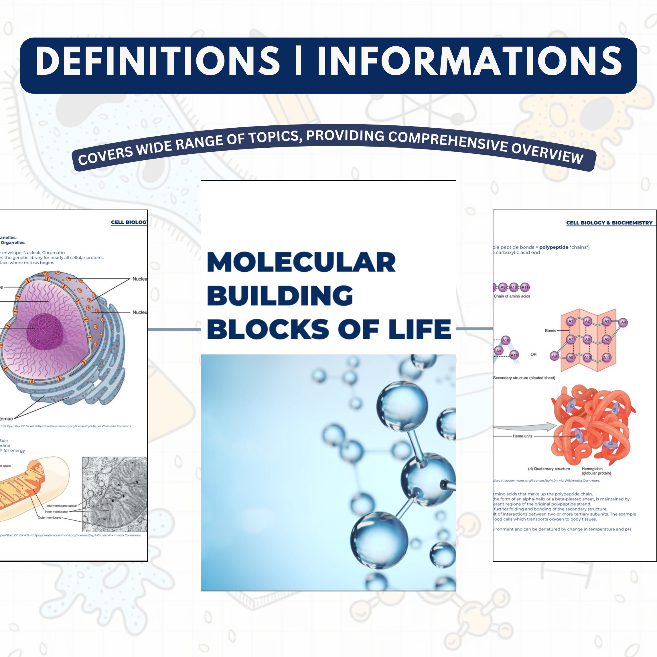 Cell Biology & Biochemistry Bundle, Digital Download PDF File Study ...