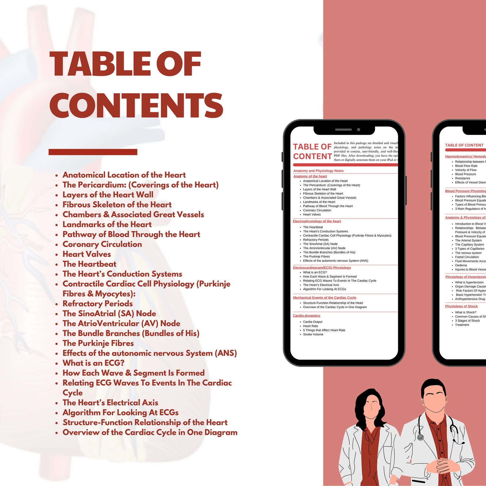 Circulatory Cardiovascular System Free Flashcard and Stickers ...